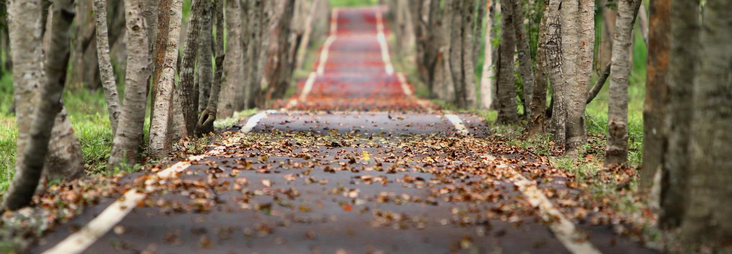 Home | Copyright SSB Wealth Management, Inc.